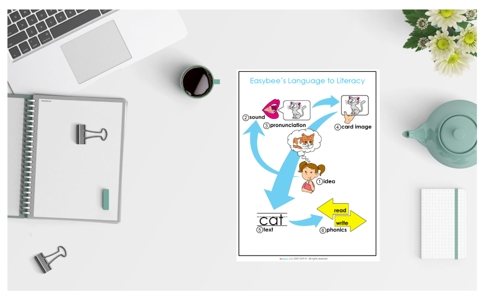 Language to Literacy Visual - Easybee